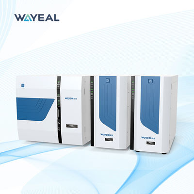 Double System Ion Chromatography Instrument With Amperometric Detectors